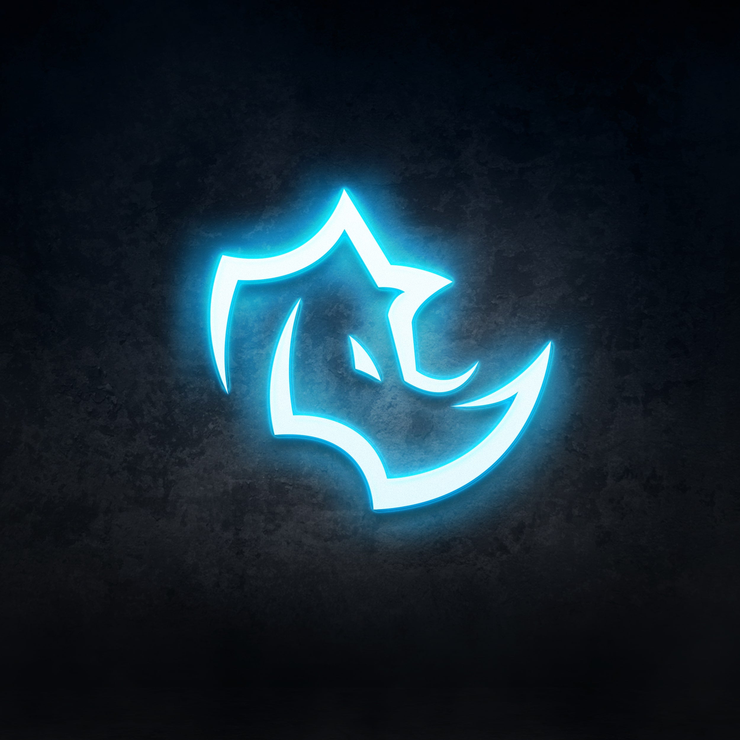 Shapewreck Official Store | Premium Sportswear